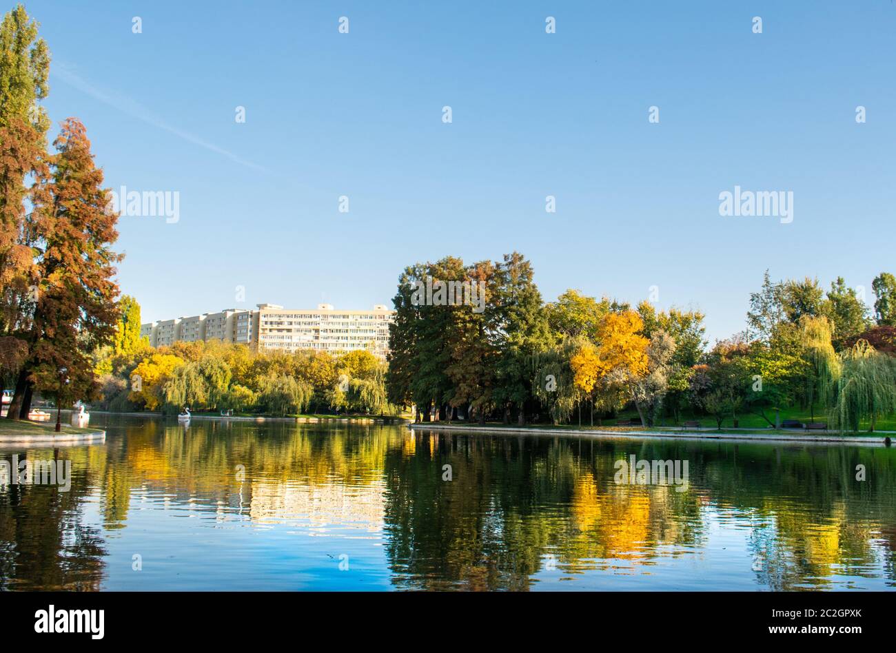 Beautiful lake with trees hi-res stock photography and images - Alamy