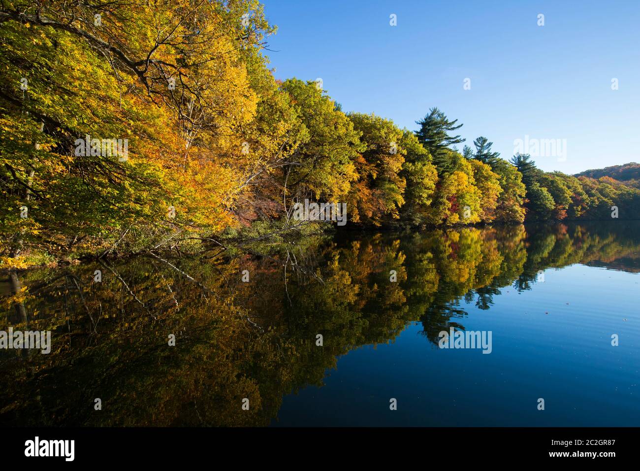 Parc national du Mont-Saint-Bruno in autumn Stock Photo - Alamy