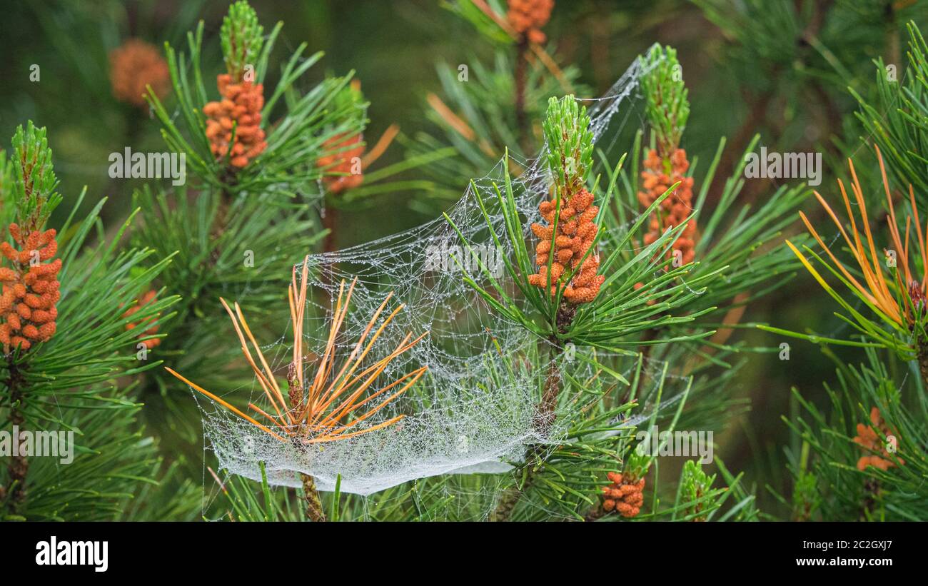 Olympus em5 hi-res stock photography and images - Alamy