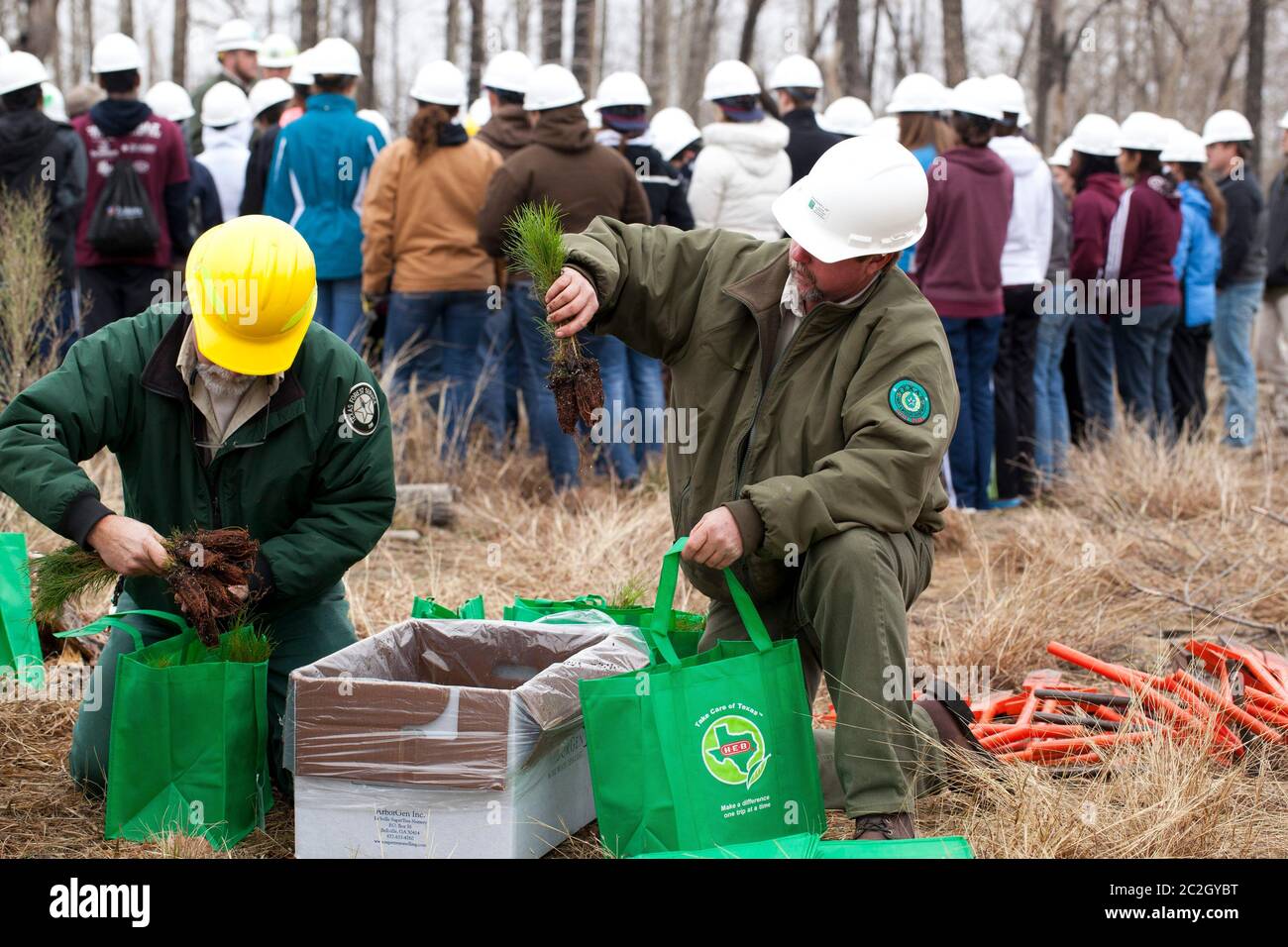 Tree planting in fire-ravaged Texas park - Texas A&M University ...