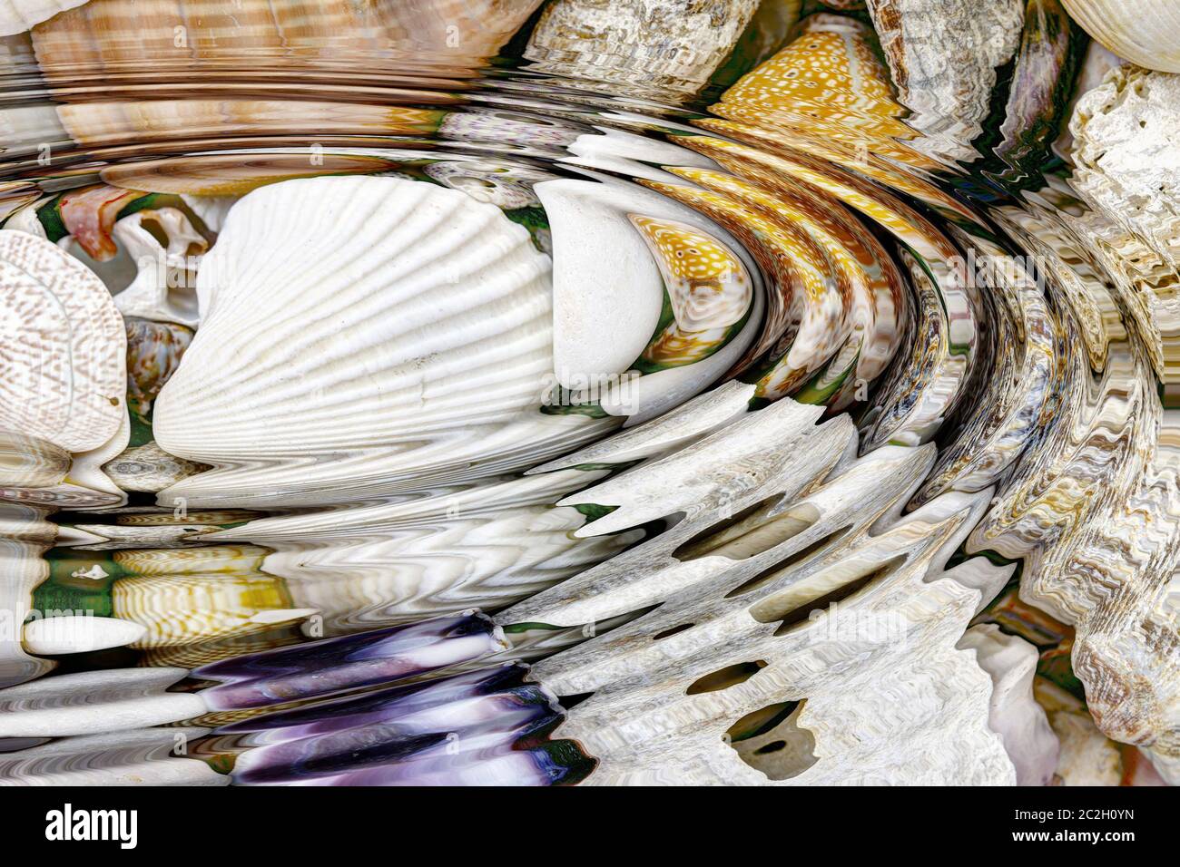 Water ripples above sea shells - digitally altered Stock Photo - Alamy
