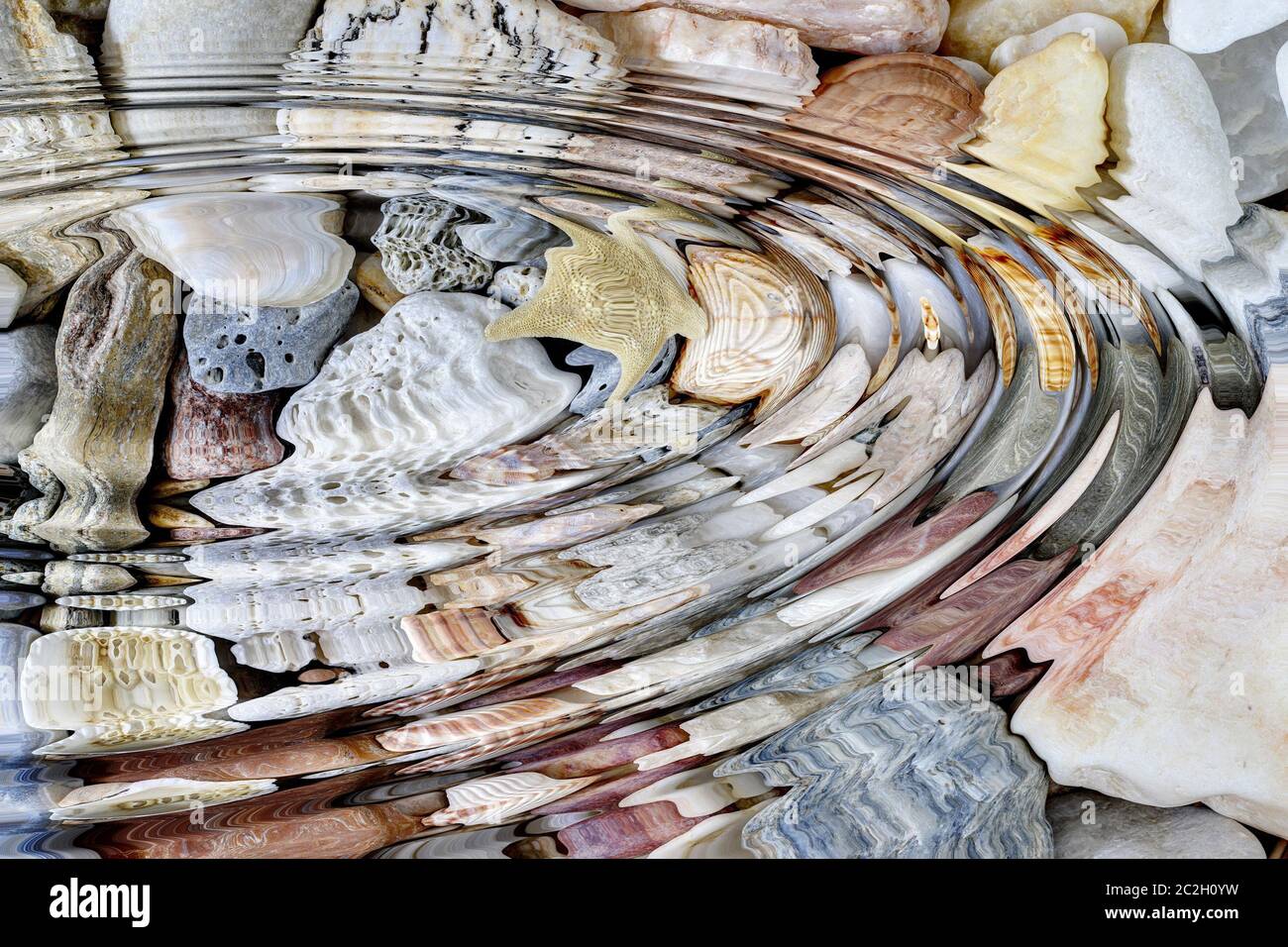 Water ripples above sea shells and starfish - digitally altered Stock ...