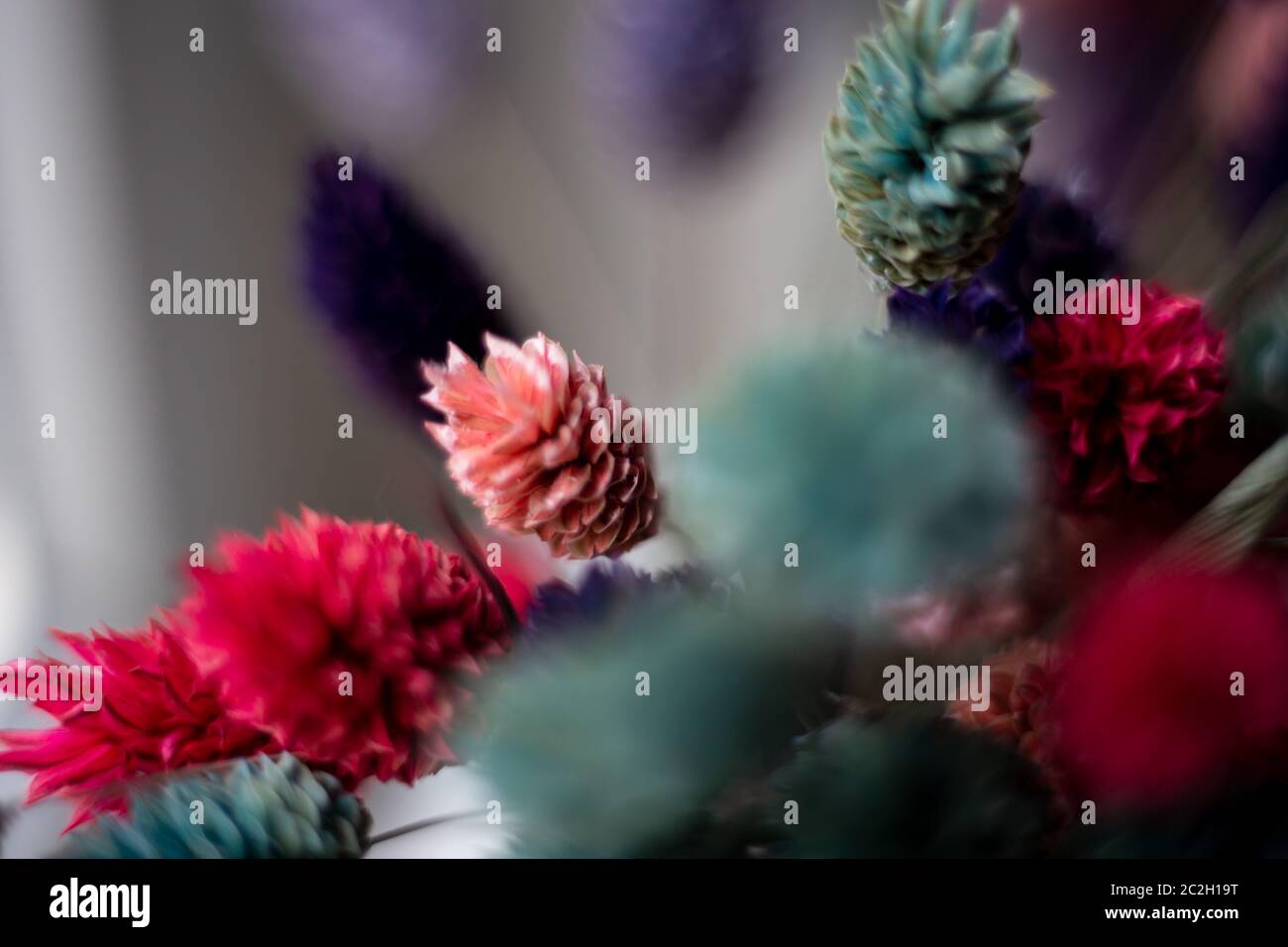 Large depth of field hi-res stock photography and images - Alamy