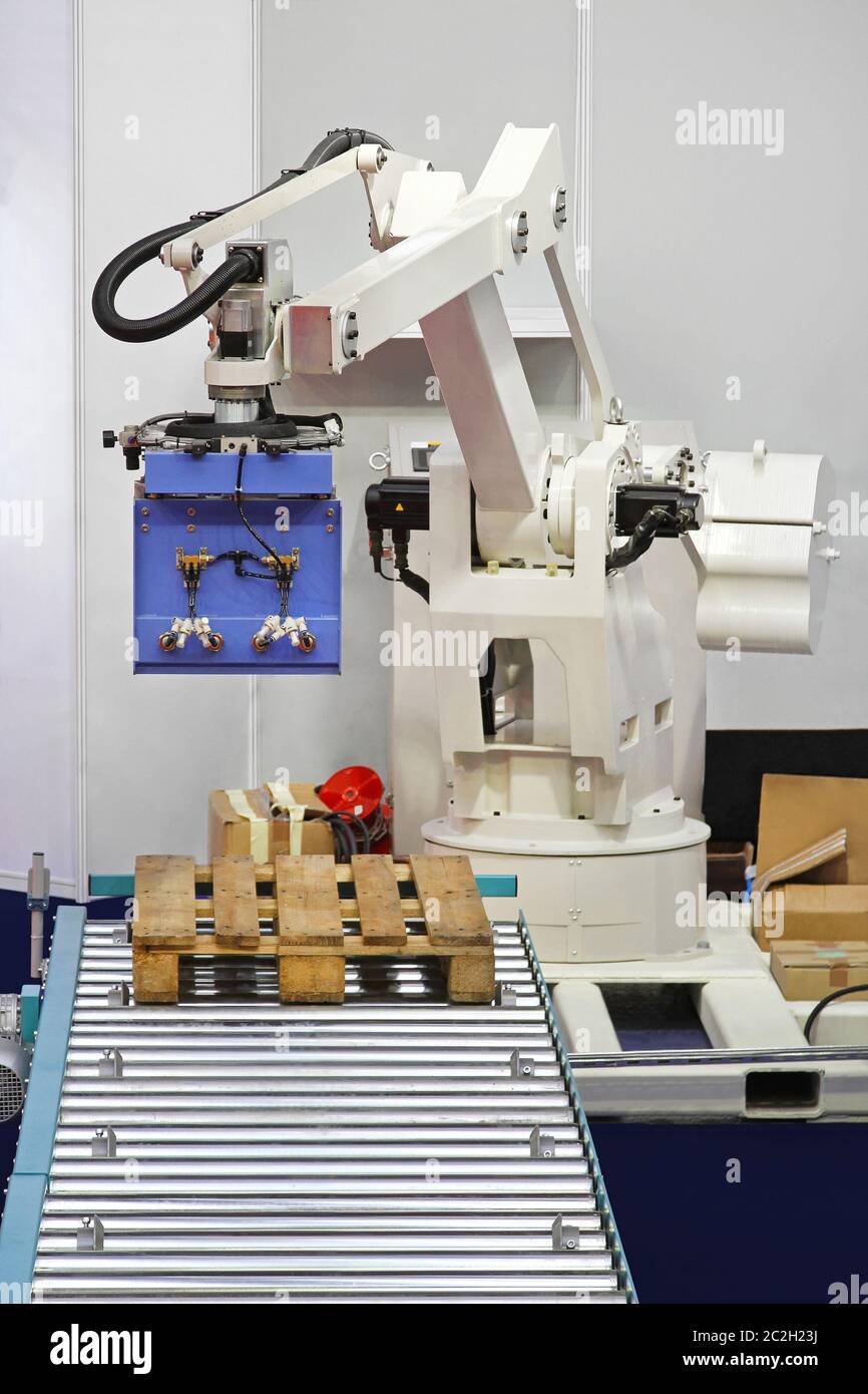Automated Robotic Palletizer for Boxes at Conveyor Rollers Warehouse ...