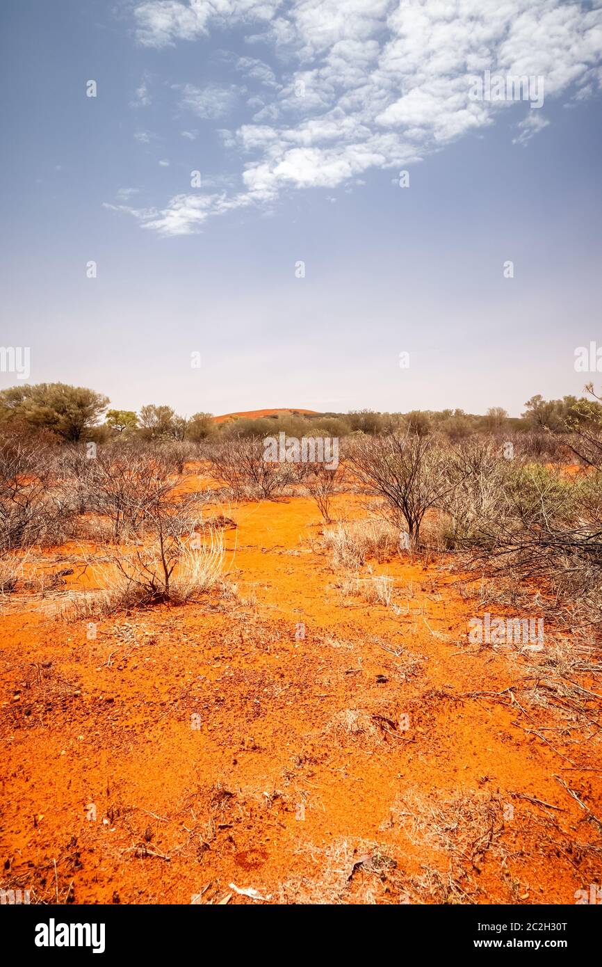 landscape scenery of the Australia outback Stock Photo - Alamy