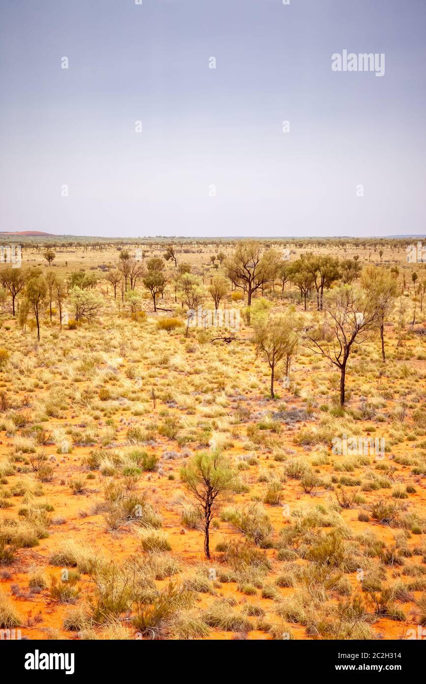 landscape scenery of the Australia outback Stock Photo - Alamy