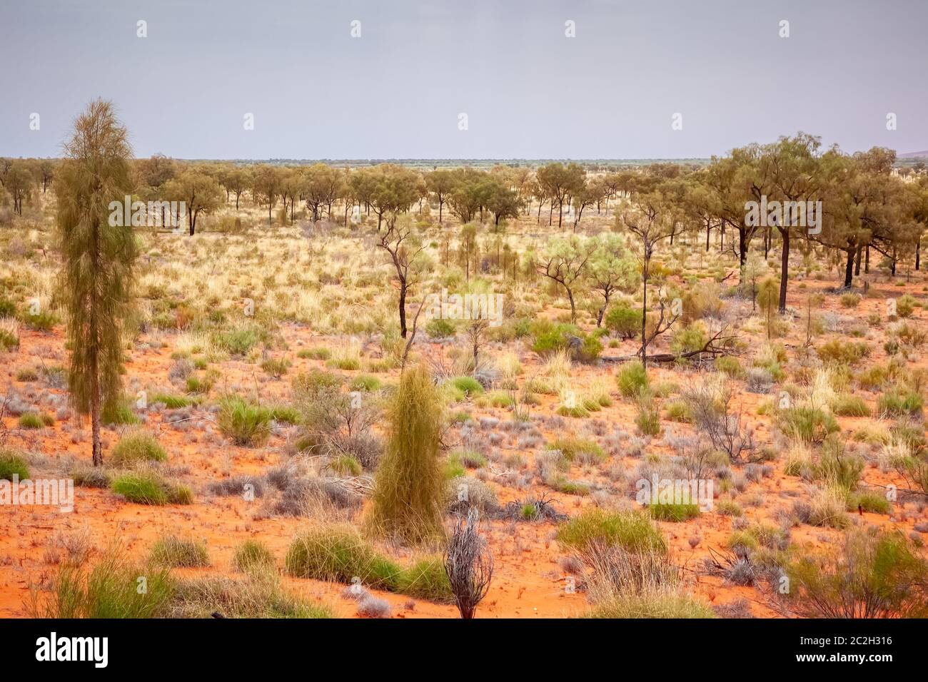 landscape scenery of the Australia outback Stock Photo - Alamy
