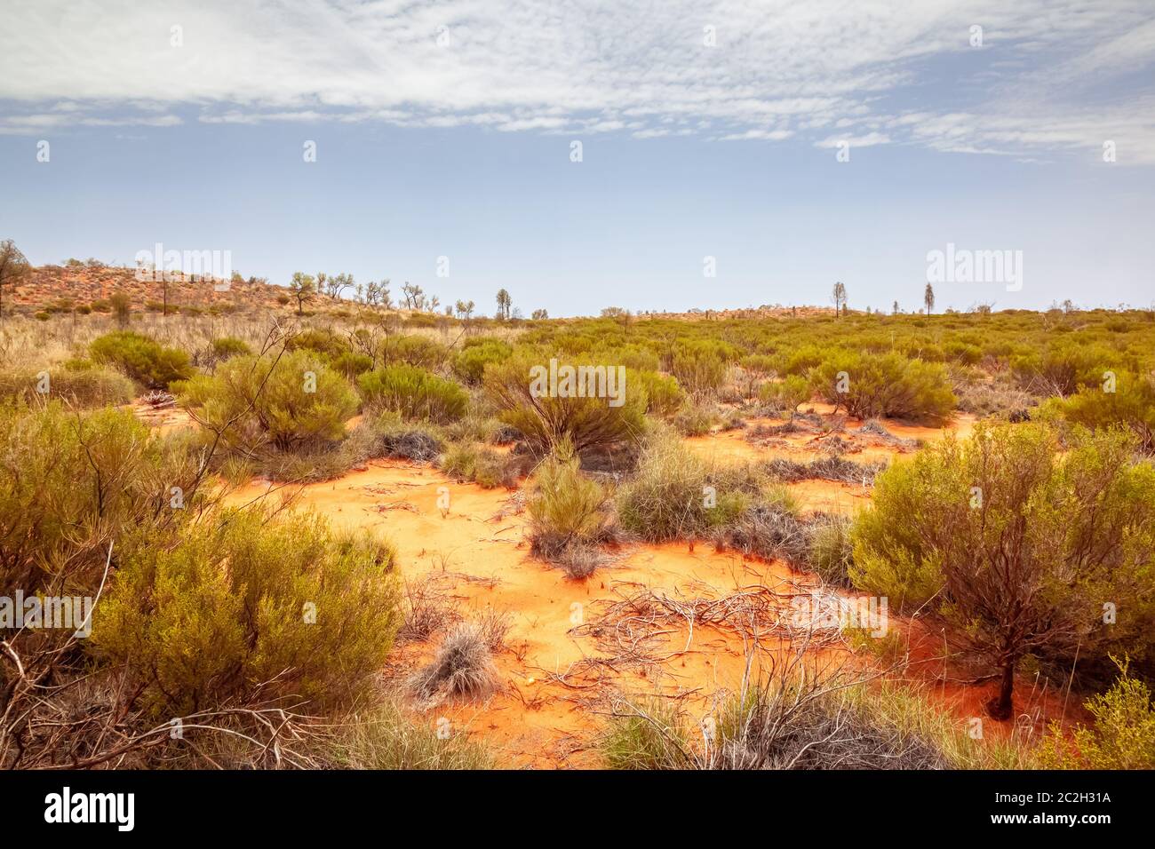 landscape scenery of the Australia outback Stock Photo - Alamy