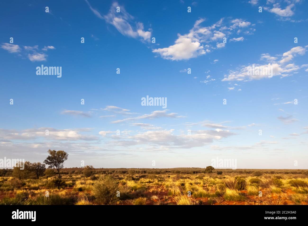 landscape scenery of the Australia outback Stock Photo - Alamy