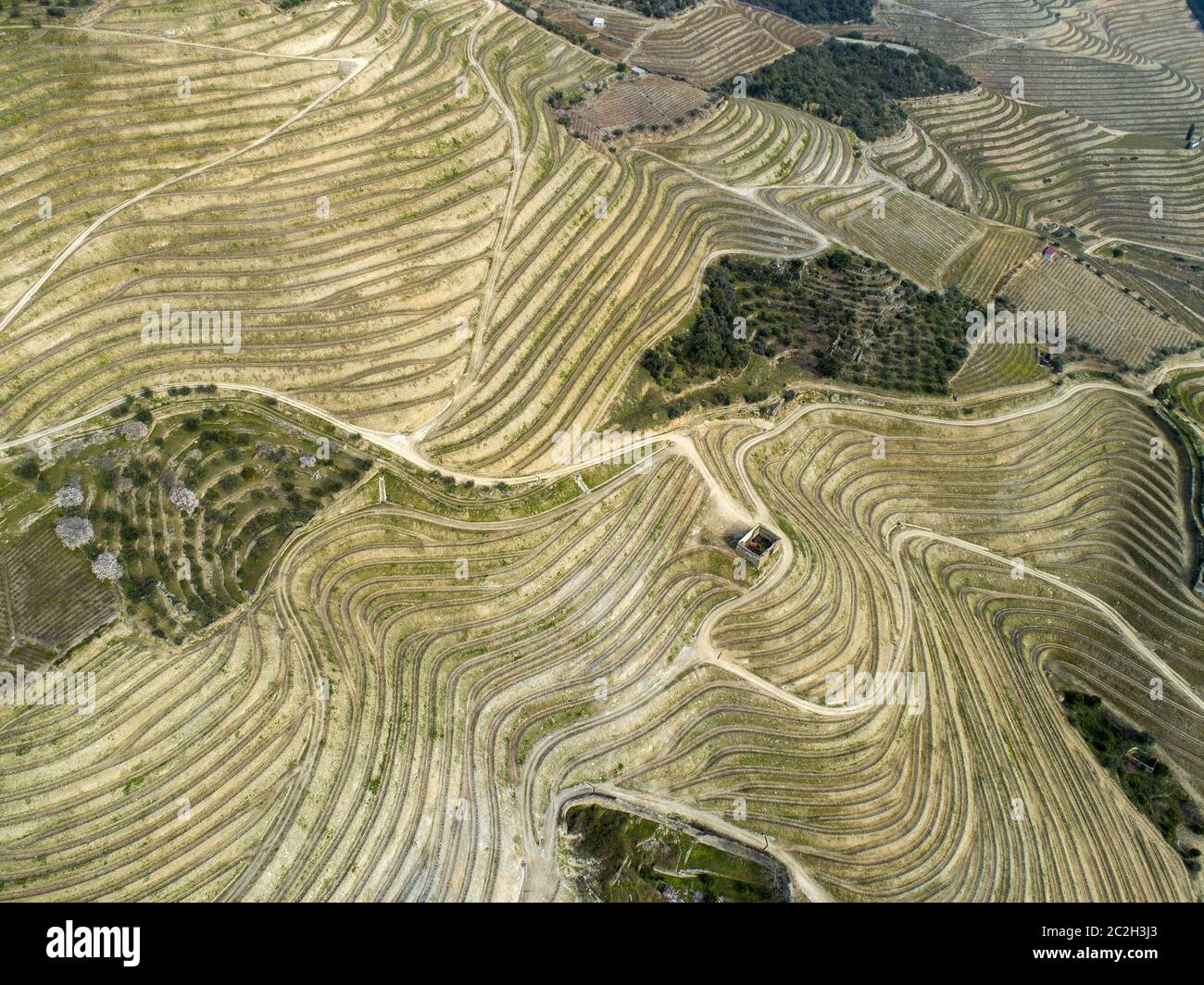 Vineyards on hills above hi-res stock photography and images - Alamy