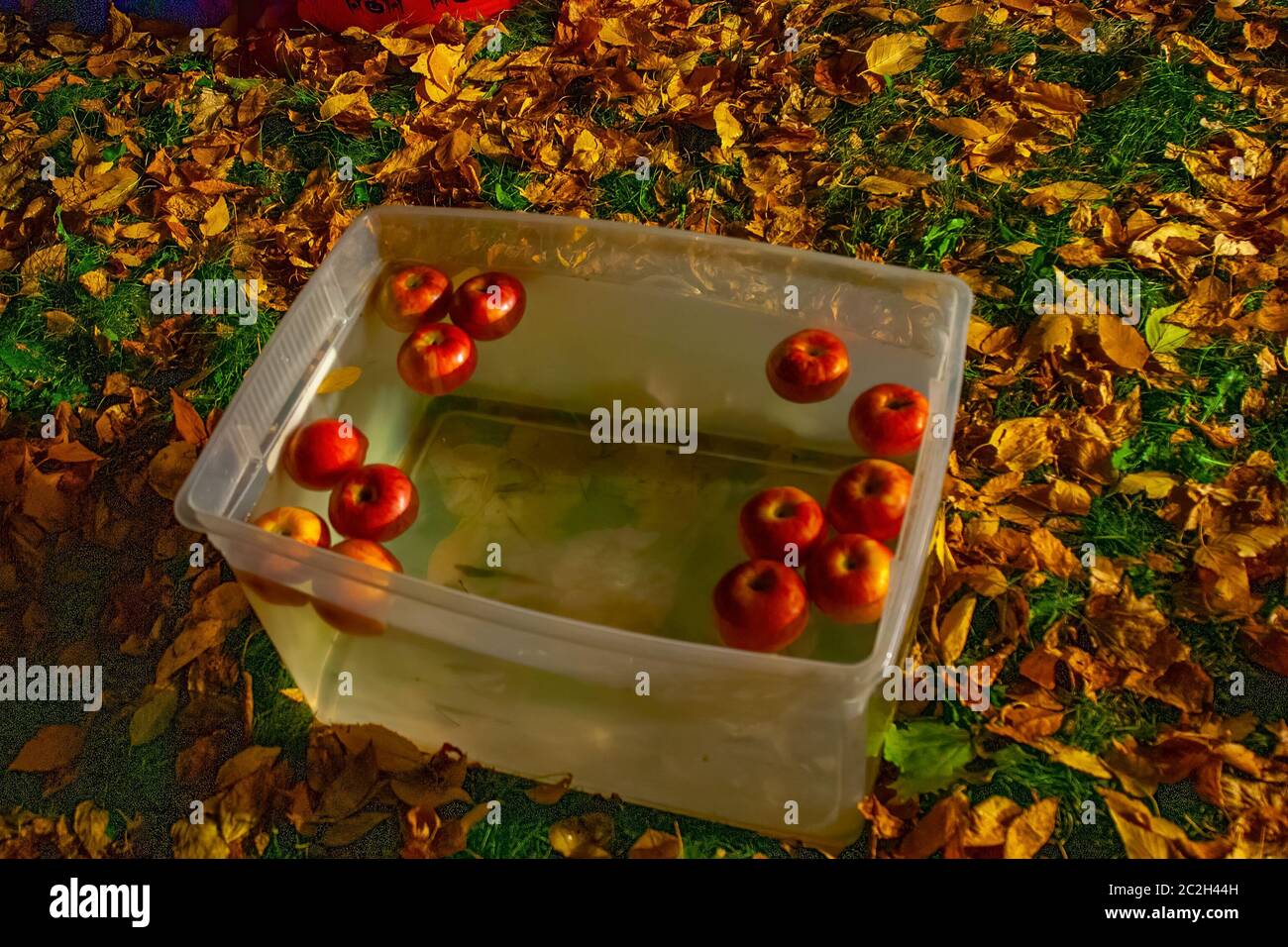 A classic look at Halloween's past with bobbing for Apples Stock Photo ...