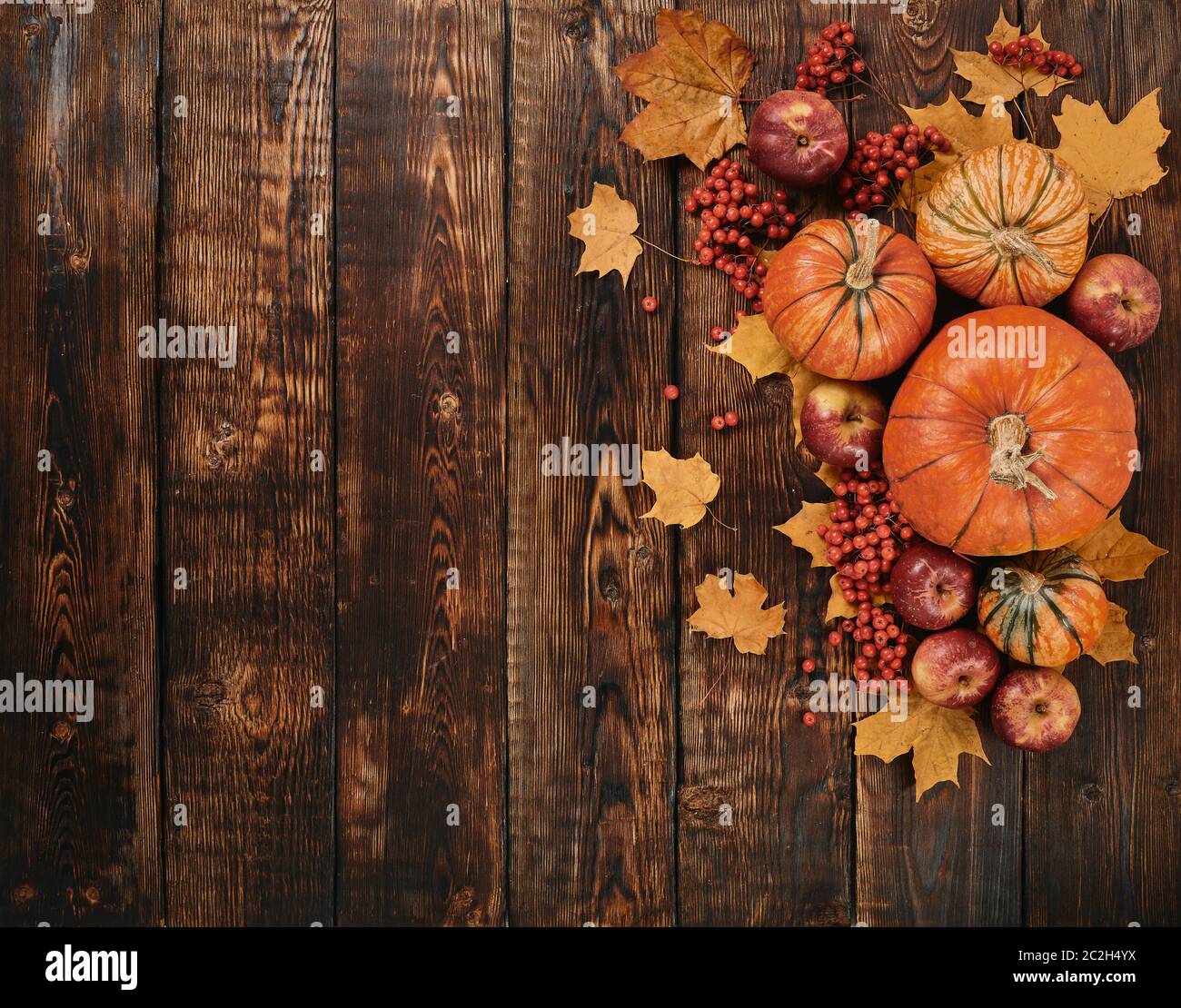Festive autumn still life with pumpkins, red apples, berries and leaves ...