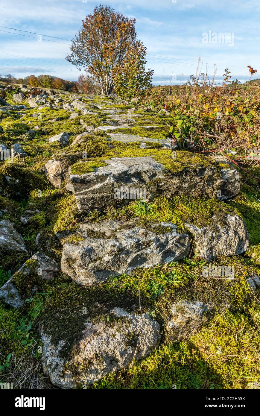 Dyke wall hi-res stock photography and images - Alamy