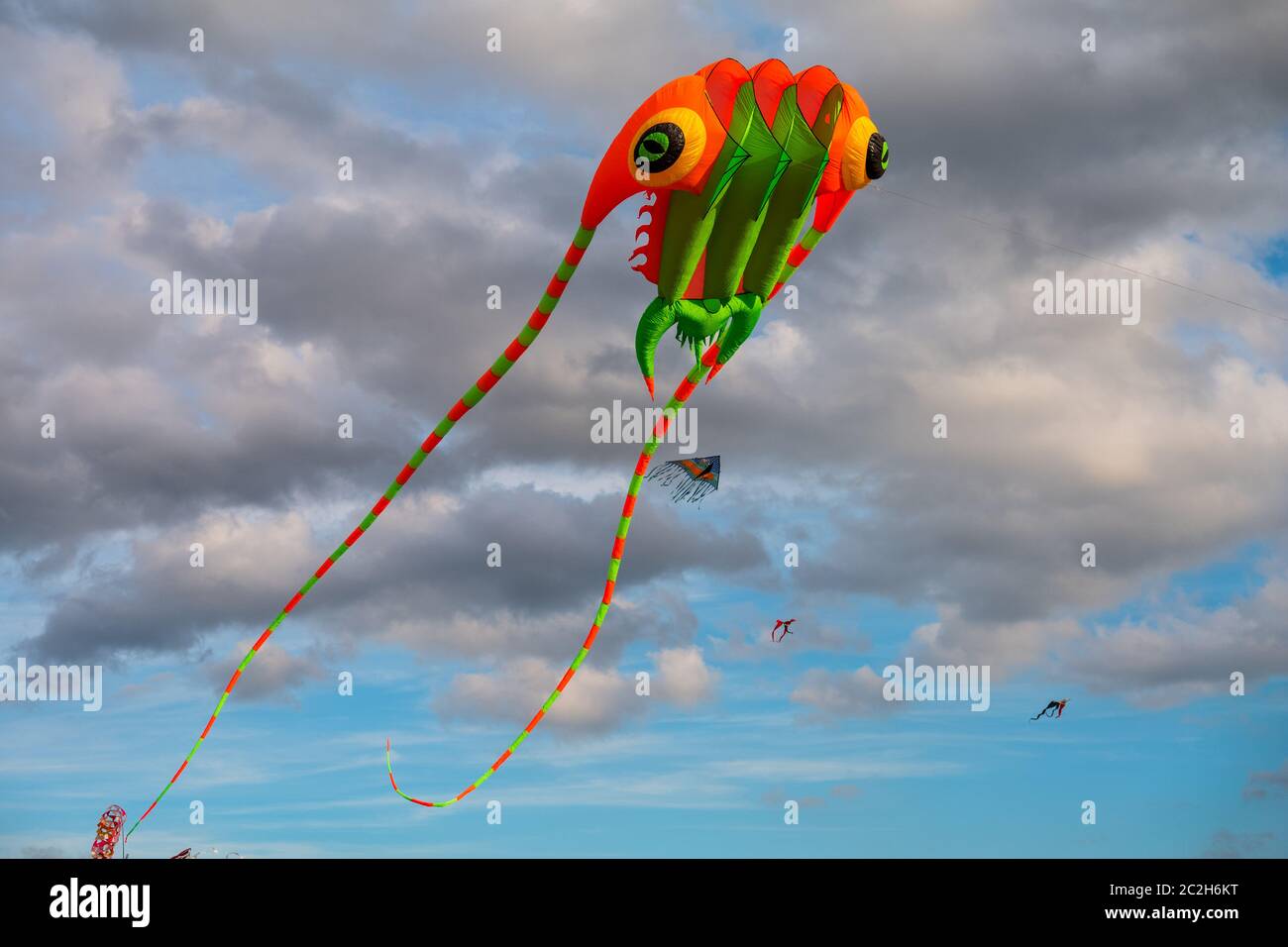 a colorful kite is dancing in the wind Stock Photo - Alamy