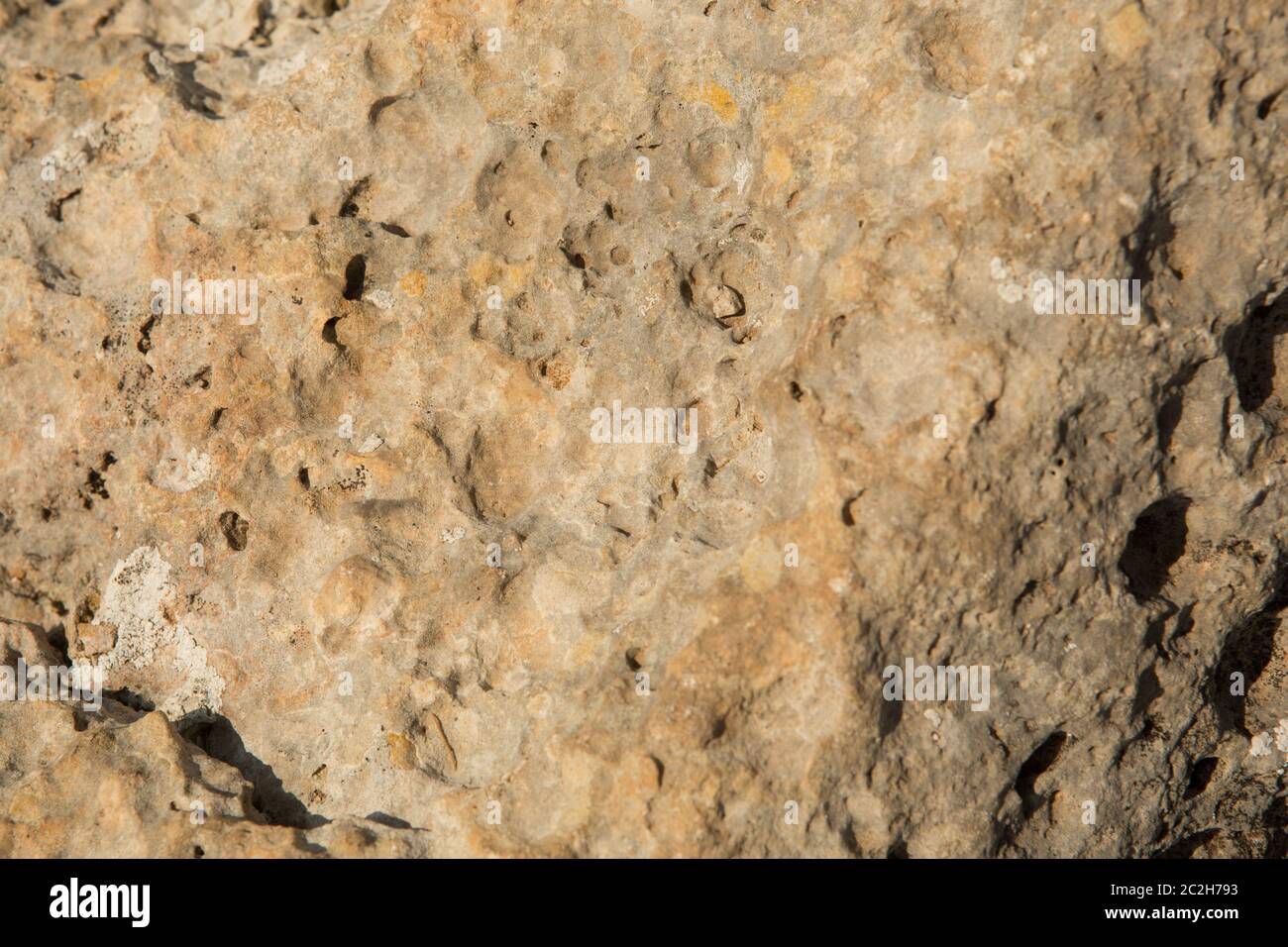 brown stone texture, close-up stone background texture Stock Photo - Alamy