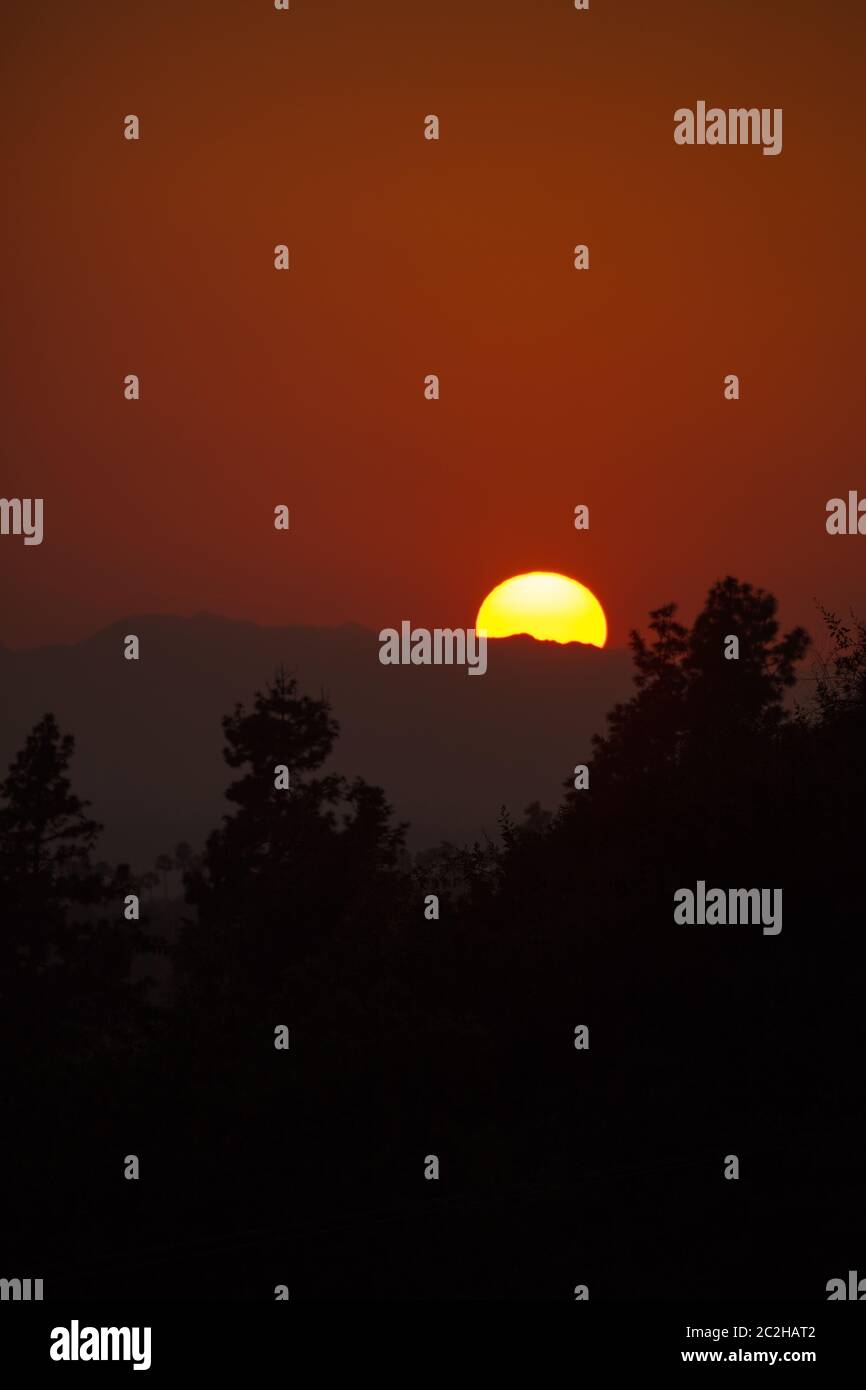 Burnt orange hi-res stock photography and images - Alamy