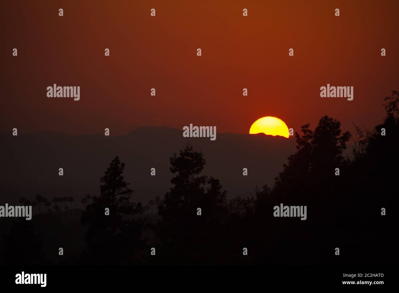 Burnt orange hi-res stock photography and images - Alamy