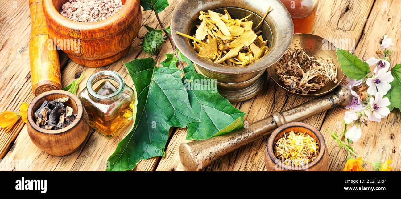 Harvesting irish moss hi-res stock photography and images - Alamy