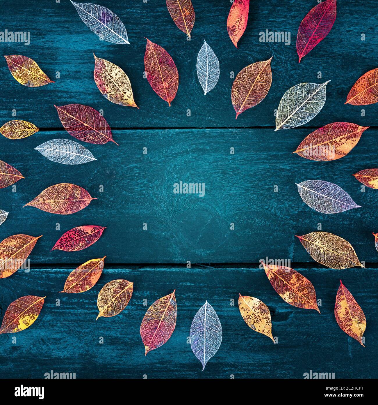 Autumn background with vibrant fall leaves, a square design template ...