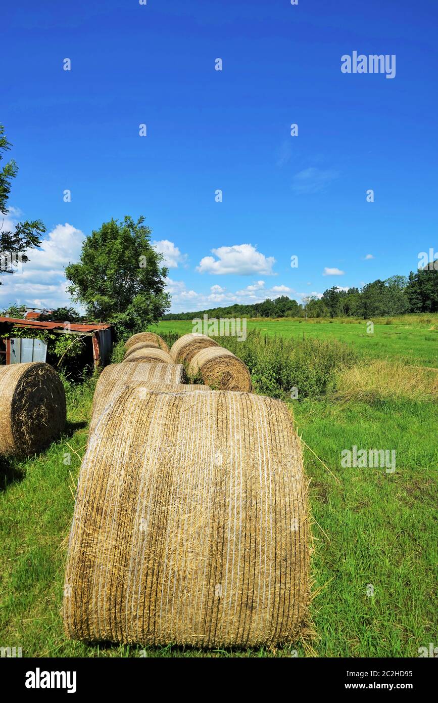 Bale crop hi-res stock photography and images - Alamy