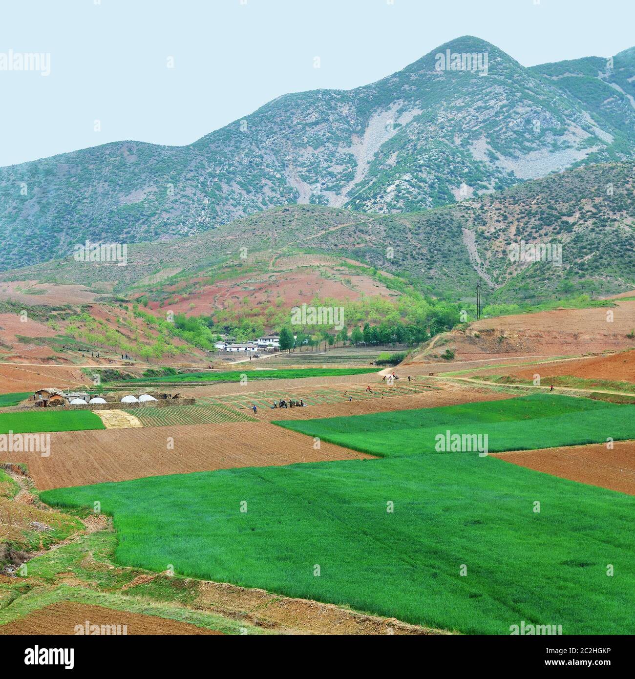 Countryside landscape, North Korea. Cultivated agricultural fields ...