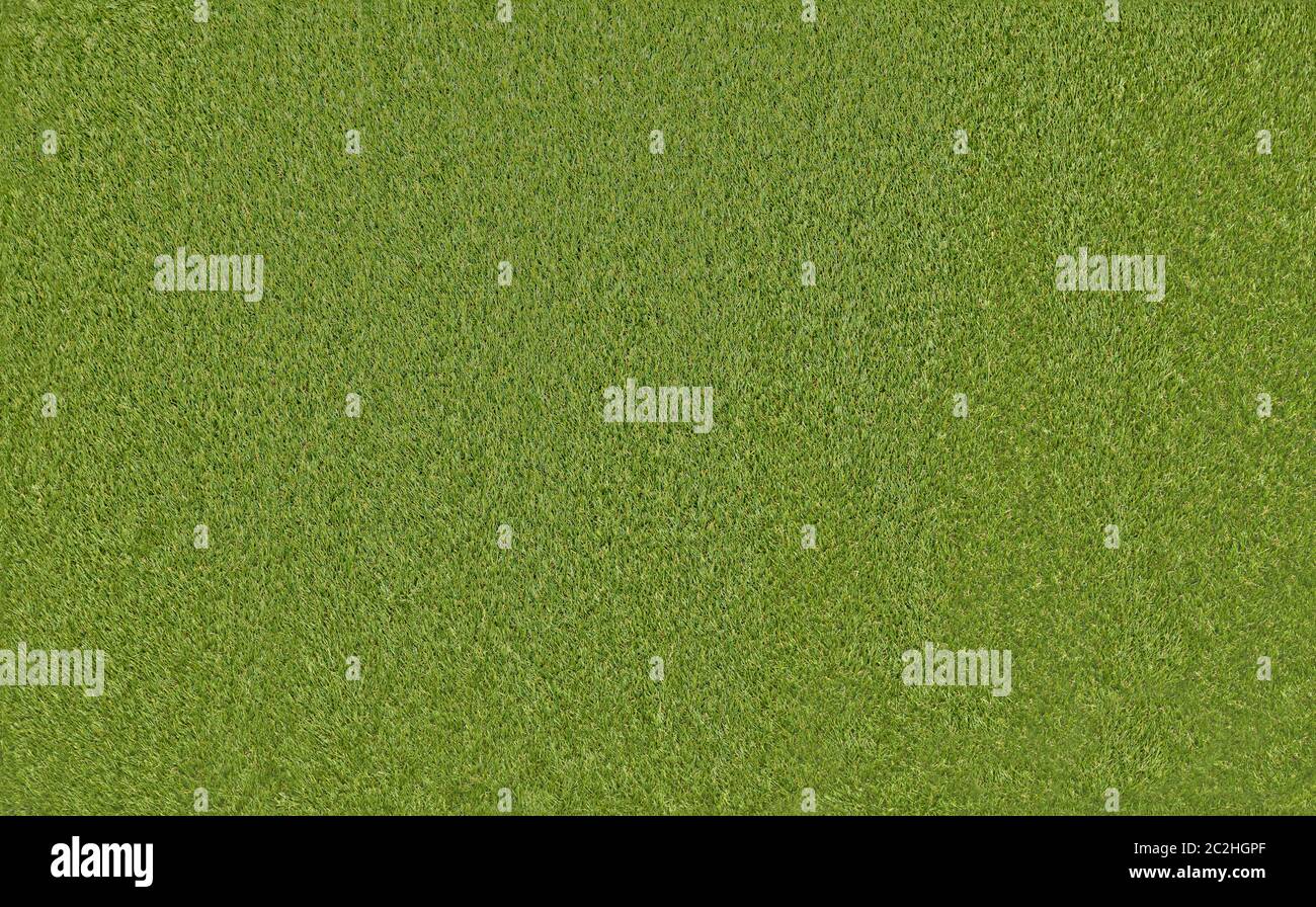 Photo Of Detailed Tileable Green Grass Texture Stock Photo - Alamy