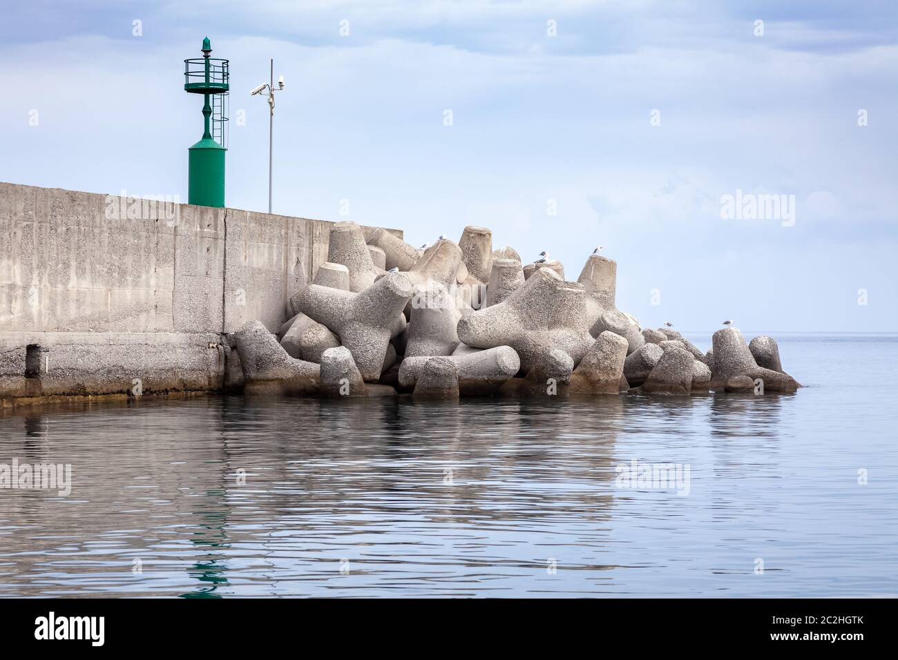 Italy sea animals hi-res stock photography and images - Alamy