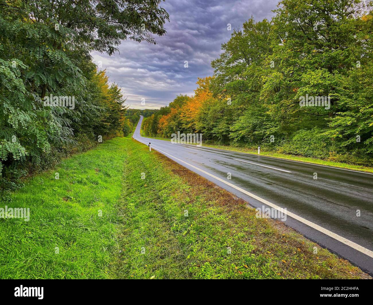 Country Road In Autumn, slippery asphalt with trees Stock Photo - Alamy