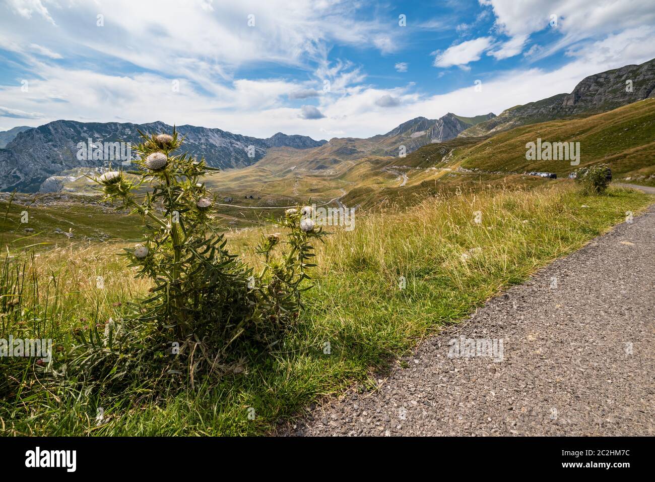 Summer mountain Durmitor National Park, Montenegro. Durmitor panoramic ...