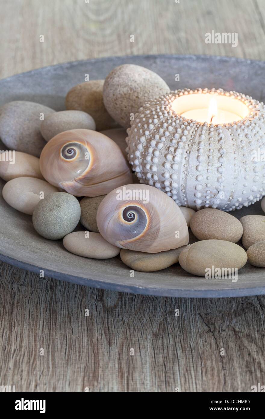 Sea Urchin Shell Candle