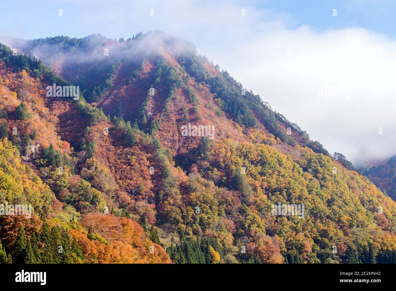 Tadami river hi-res stock photography and images - Alamy