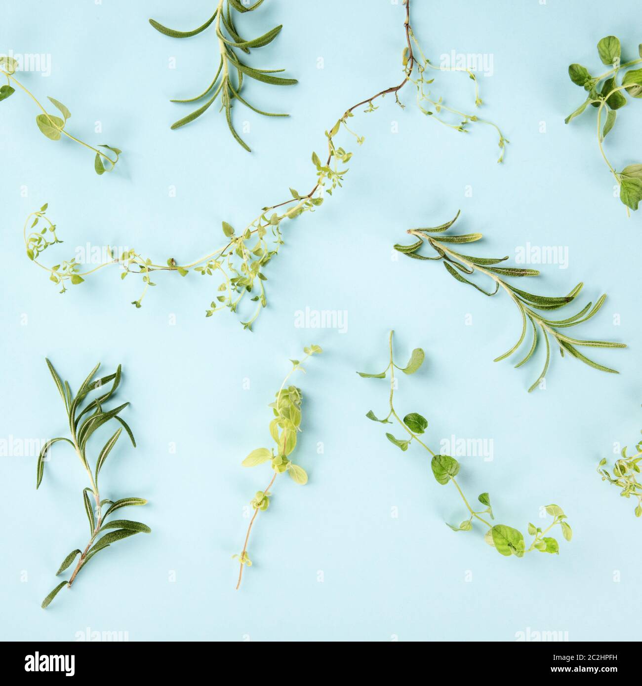 The herbs of Provence. Rosemary, oregano, thyme, and marjoram, overhead ...
