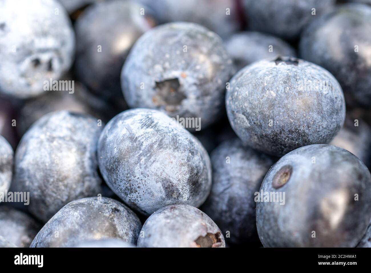 Close up blueberries hi-res stock photography and images - Alamy