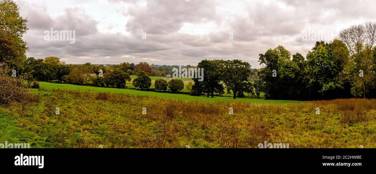 View of water-meadow alongside the River Thames in Runnymede, Surrey ...