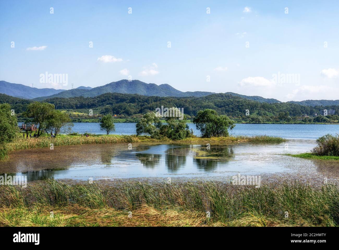 Garden of water river side view Stock Photo - Alamy