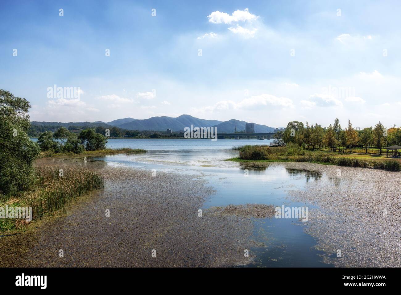 Garden of water river side view Stock Photo - Alamy