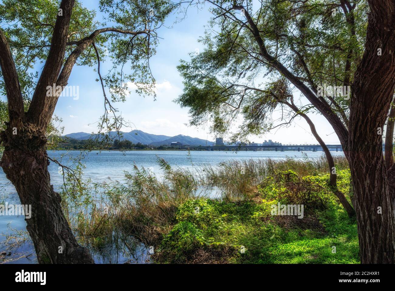 garden of water riverside Stock Photo - Alamy