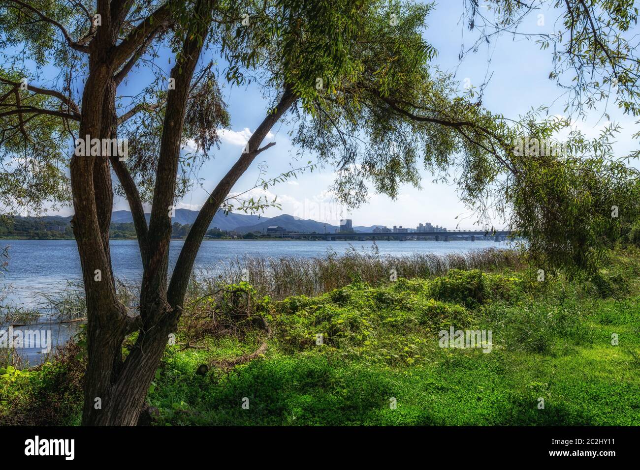 garden of water riverside Stock Photo - Alamy