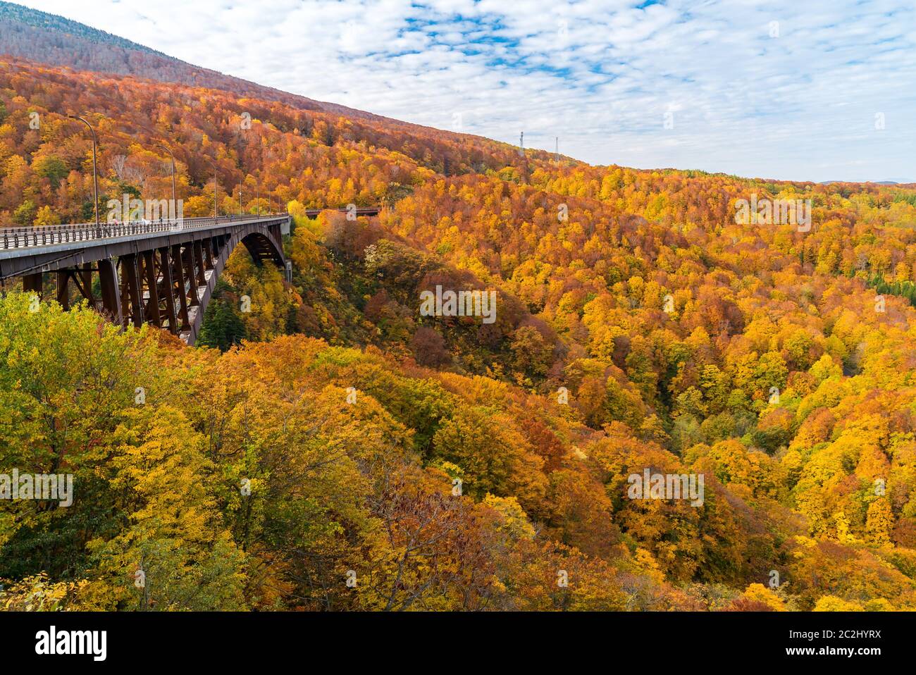 Jogakura Ohashi Bridge Autumn Japan Stock Photo - Alamy