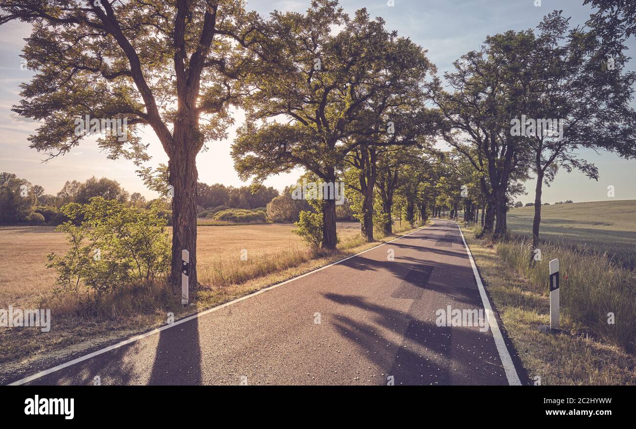 Narrow field road hi-res stock photography and images - Alamy