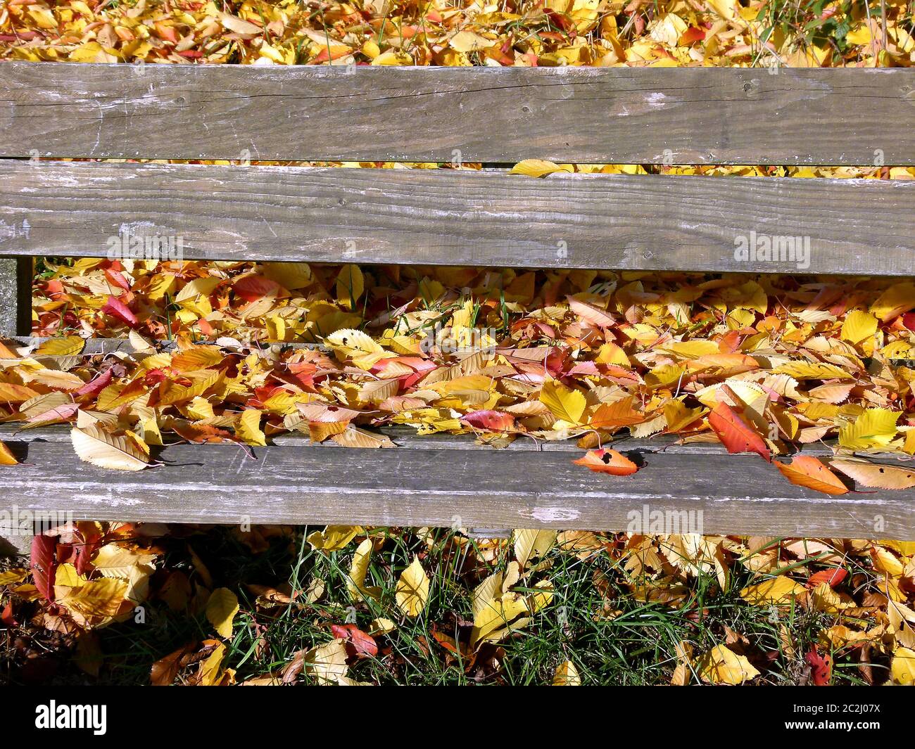 Park bench made of simple boards full of autumn leaves 3 Stock Photo ...