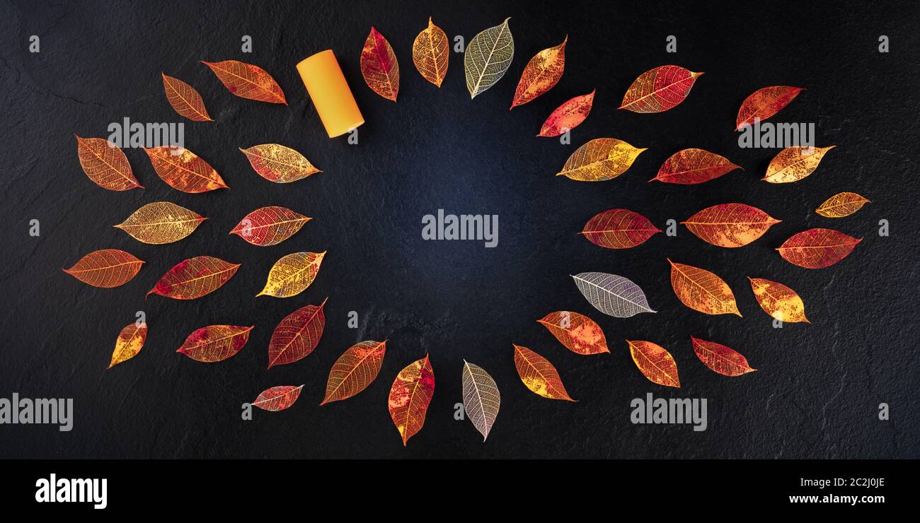 A panoramic autumn wine background with vibrant fall leaves on black, a ...