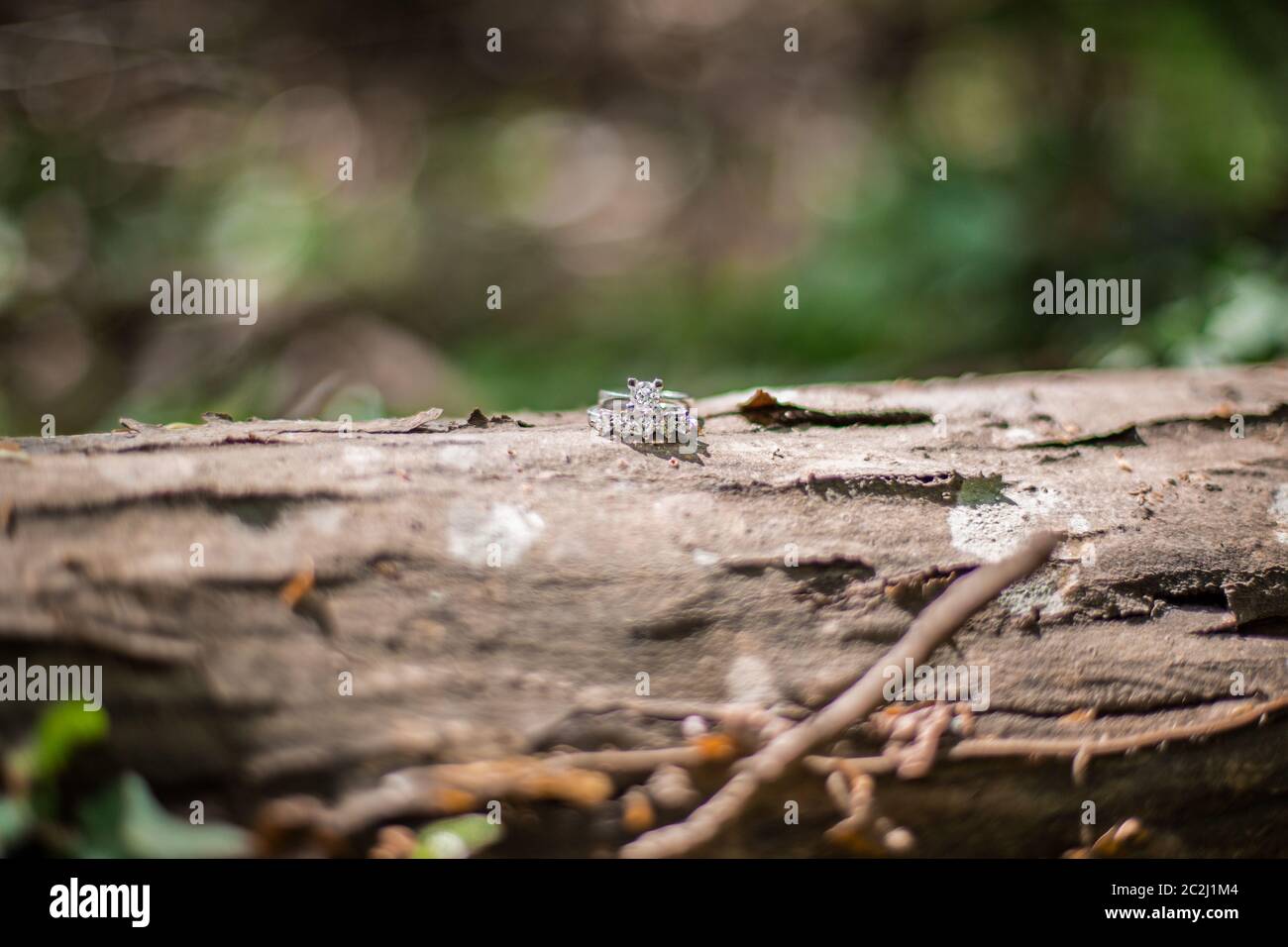 Beautiful shiny diamond engagement rings placed on a log in the woods ...