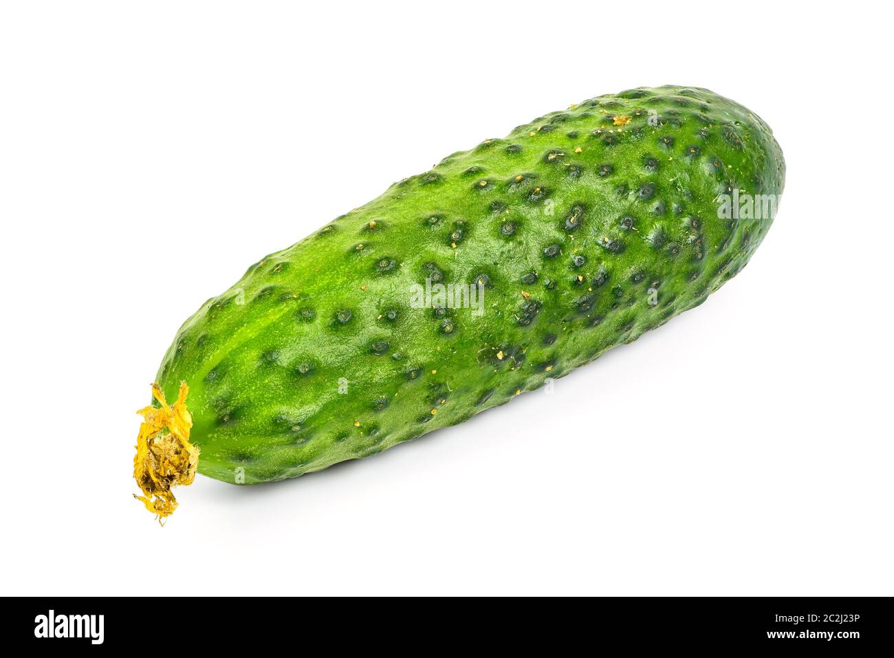 Single fresh cucumber isolated on white background with clipping path ...