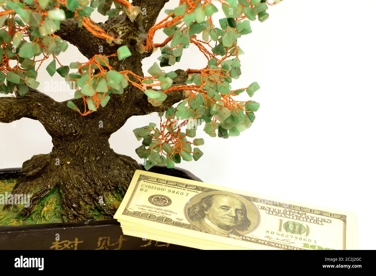 Closeup view of a money tree and a stack of cash used to attract wealth ...