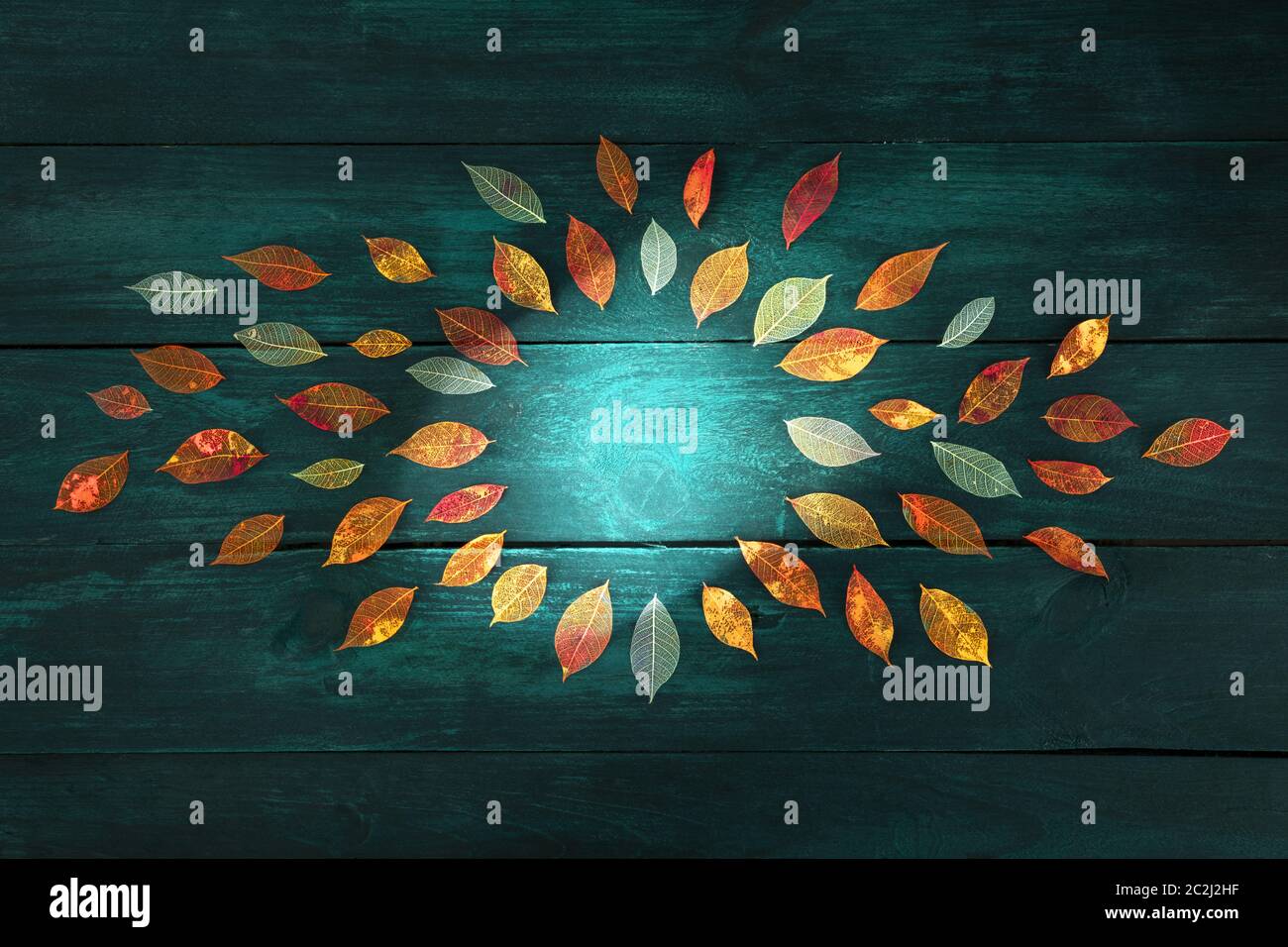 Autumn background with vibrant fall leaves forming a frame, a design ...