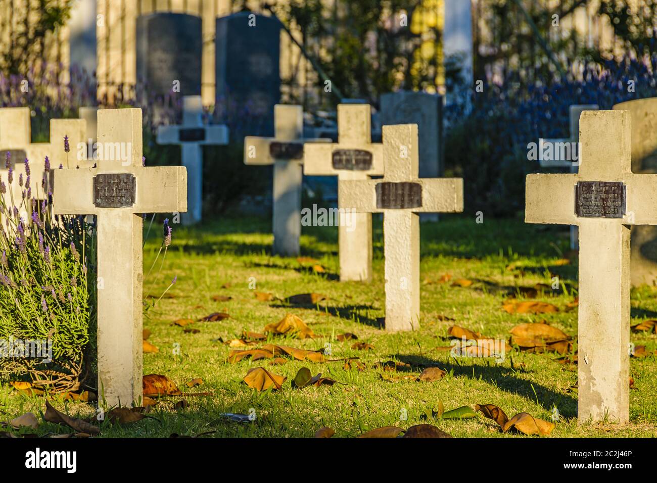 Crosses at Small Cemetery, Montevideo, Uruguay Stock Photo - Alamy