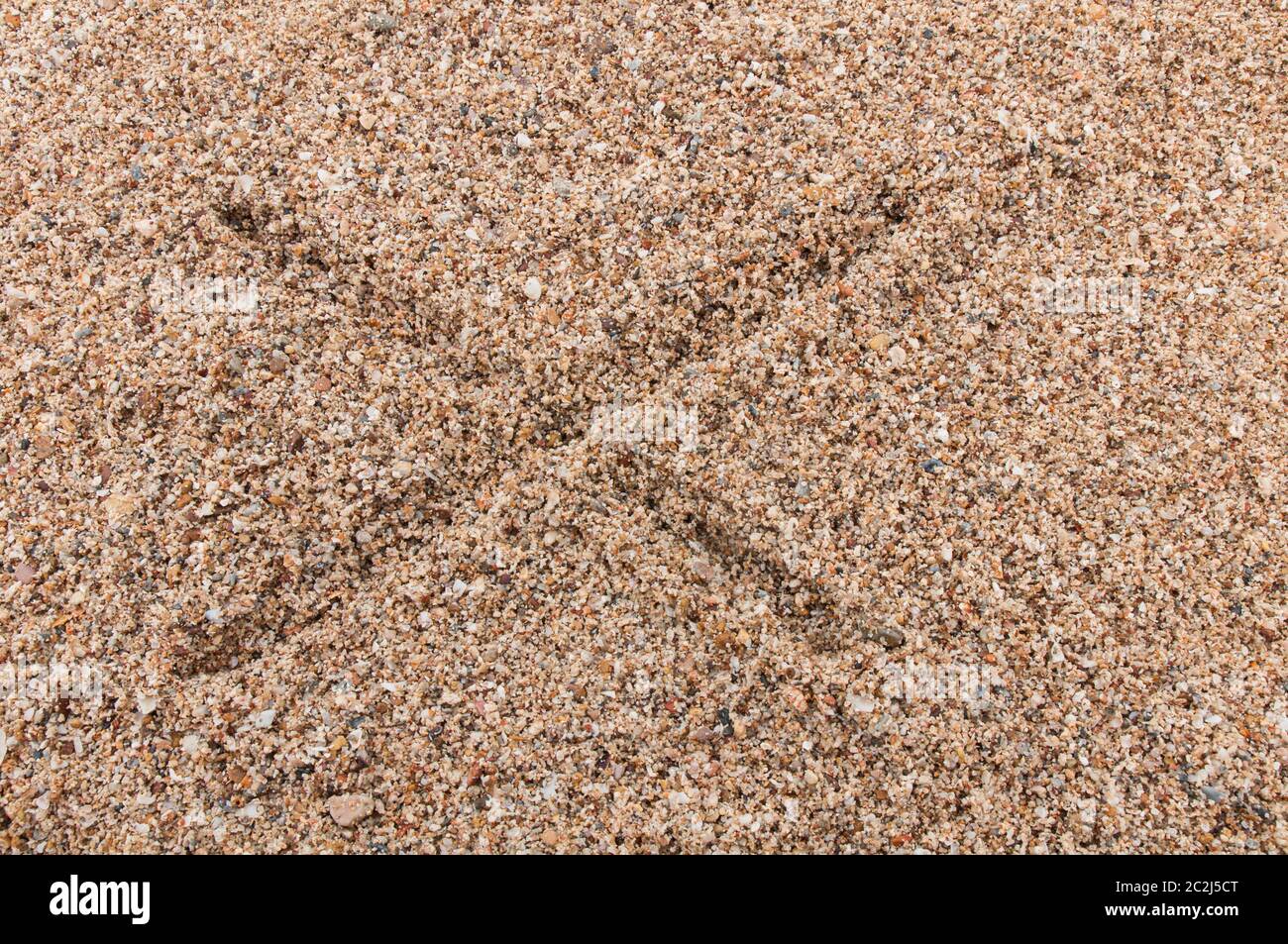 Character X of the alphabet writing on the sand Stock Photo - Alamy