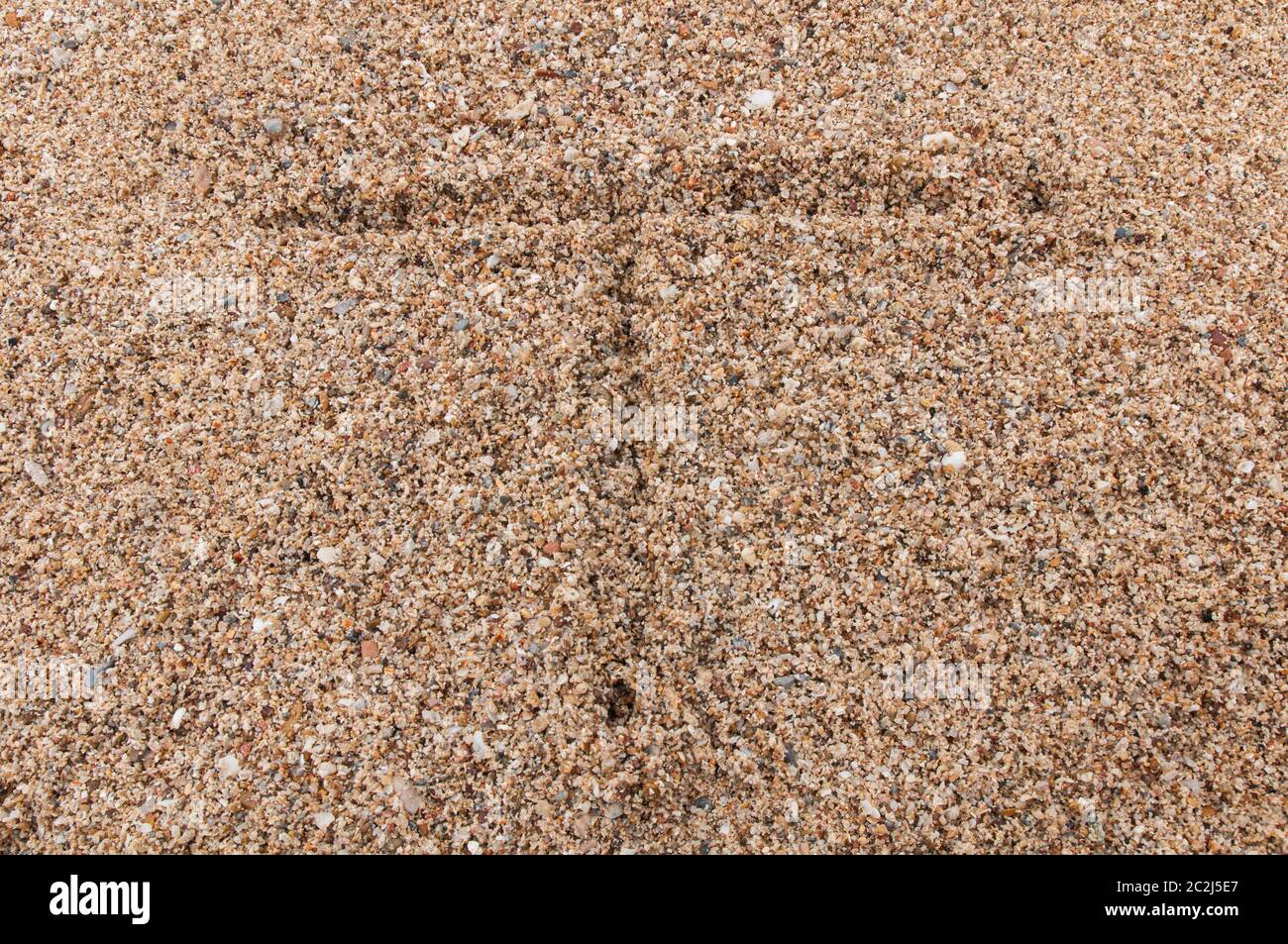 Character T of the alphabet writing on the sand Stock Photo - Alamy