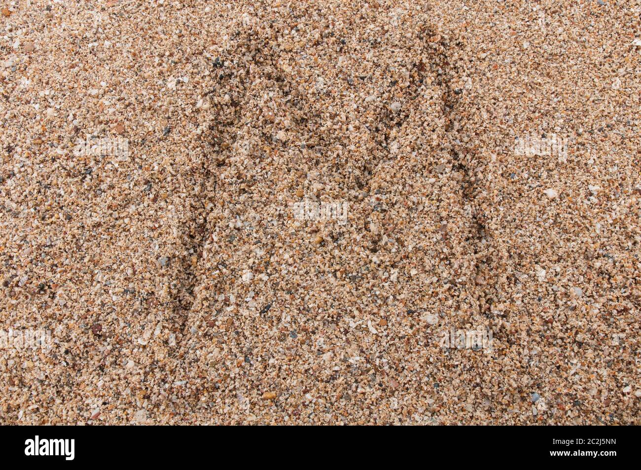 M z design hi-res stock photography and images - Alamy